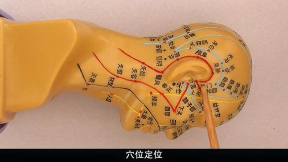 耳门穴功效:开窍聪耳,泄热活络。主治疾病:牙痛,耳鸣,耳聋等