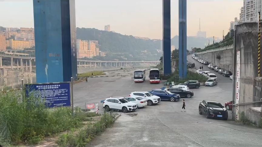 聊聊特斯拉的单踏板模式,不出意外很多人还不知道具体是什么功能