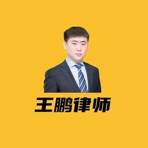 王鹏Lawyer 