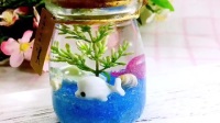 海洋生态瓶,简单的组合和少量的材料,可以做出非常好看的作品