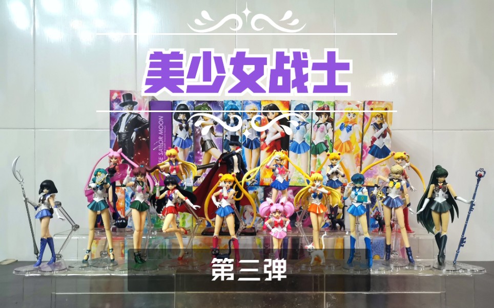 ...地场卫、伪月野兔、Sailor V、暗黑淑女、水晶月野兔、会场限定动画...