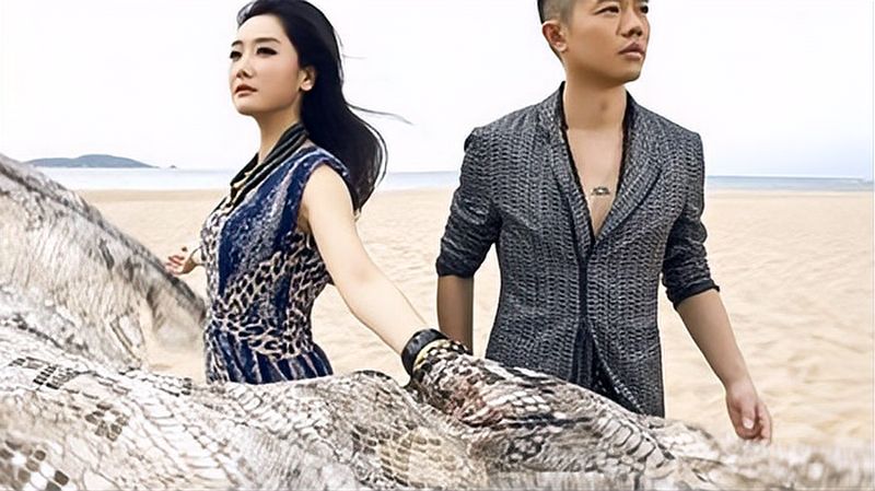 「歌曲推荐」凤凰传奇《月亮之上》