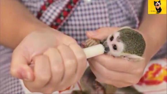 君晓天云A级B级堵漏气囊市政污水管道橡胶封堵器闭水试验气囊充气...