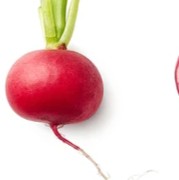 卜卜星的萝卜卜 