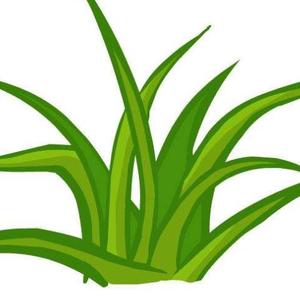 爱装修胜过爱过姑娘 