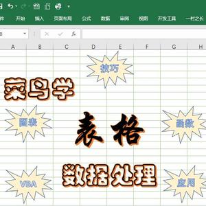 菜鸟学表格数据处理 