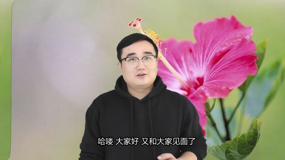 商标￥申请,申请商标公司名称错误怎么修改,企业如何申请商标