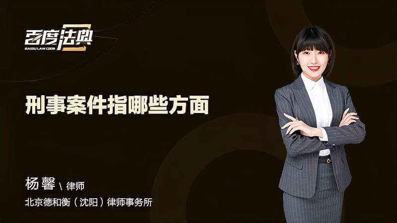 刑事案件指哪些方面