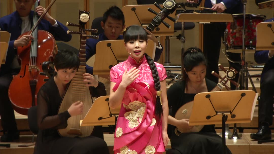 王二妮新加坡演唱会高清版