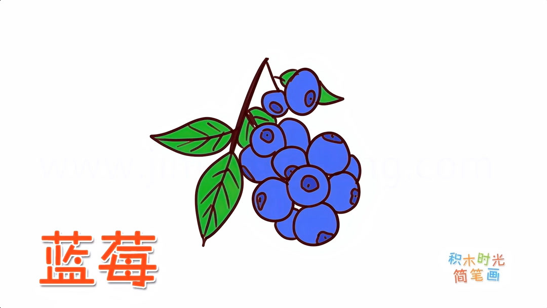 水果简笔画教程,一串蓝莓简笔画