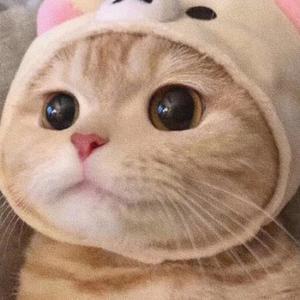 啊喵哥电影 