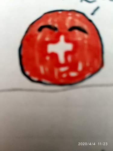 玩游戏的瑞士球 