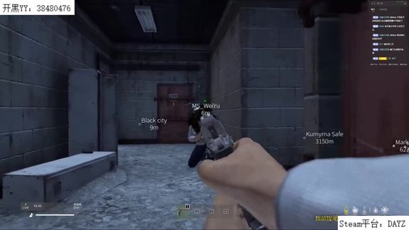 打出了吃鸡的操作哈哈!#dayz