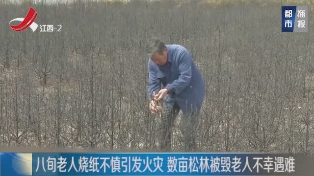 西安八旬老人上坟祭祖不慎引发火灾,大片松林被毁老人不幸遇难