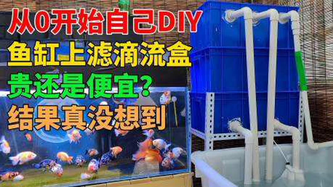 自己动手DIY一套鱼缸滴流过滤,成本到底多少?核算结果真没想到