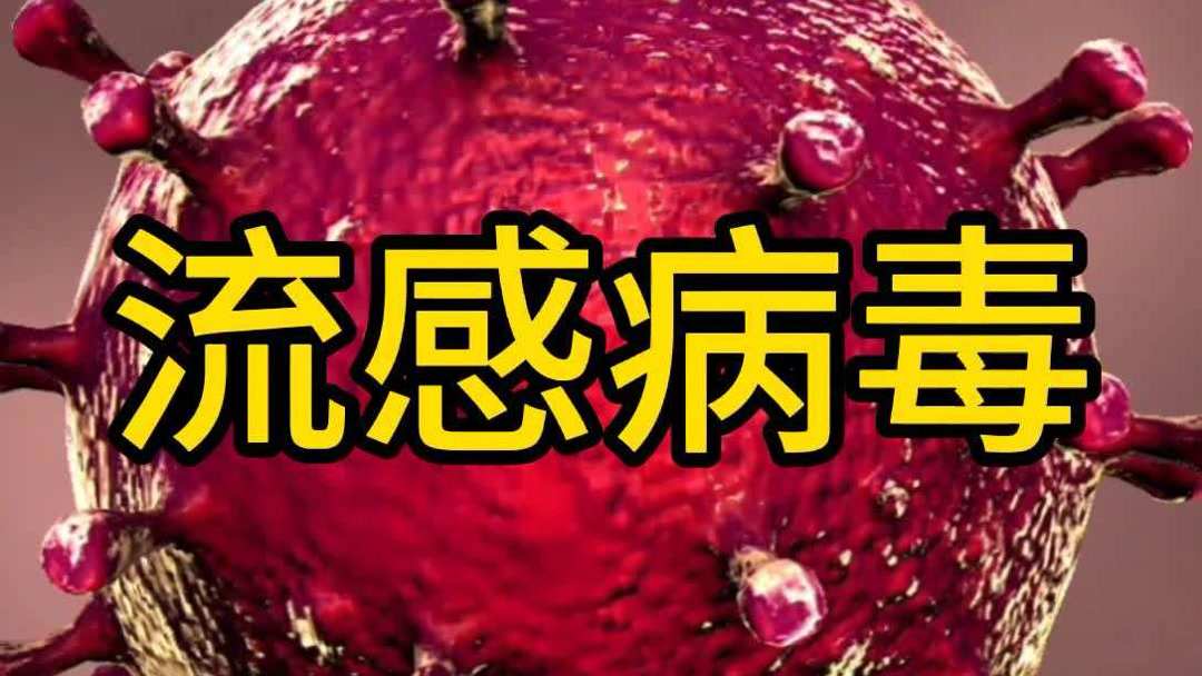 流感病毒3D效果图