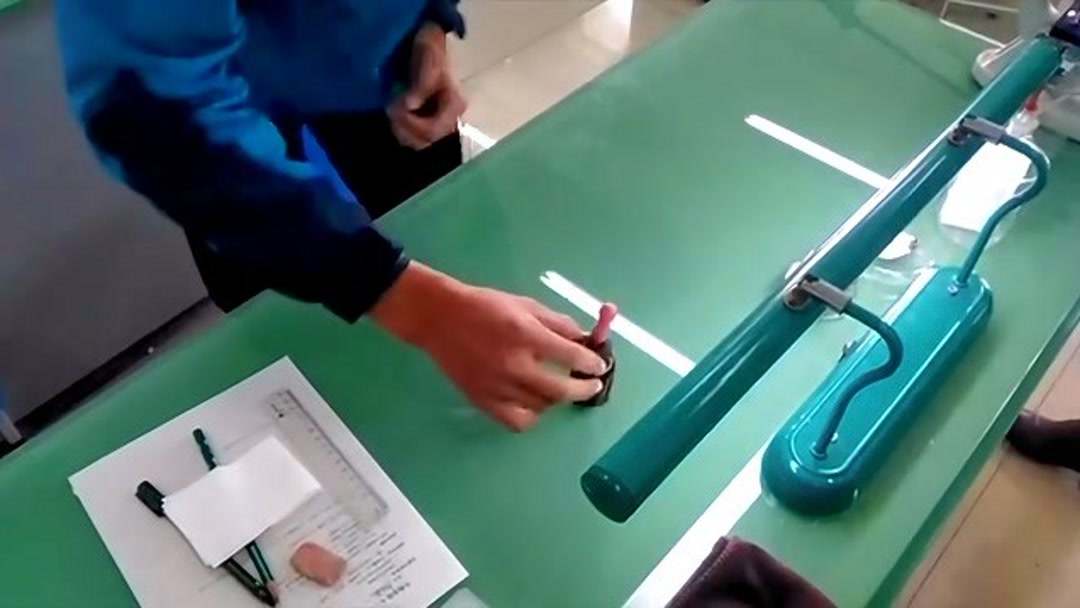 洋葱鳞片叶表皮临时装片