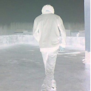 特立独行的毛毛 