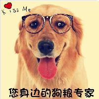 狗粮专家 