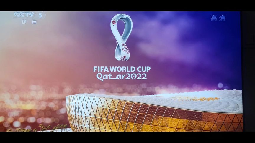 别了一2022世界杯!