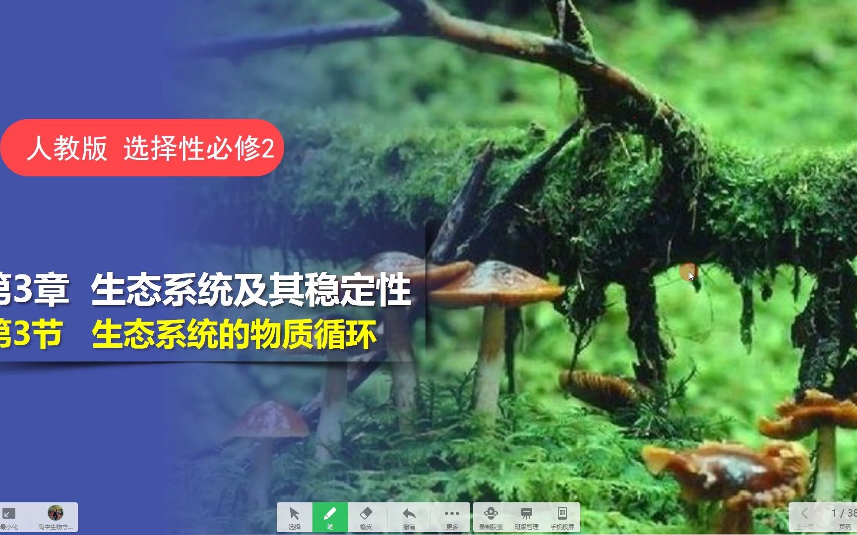 生态系统的物质循环