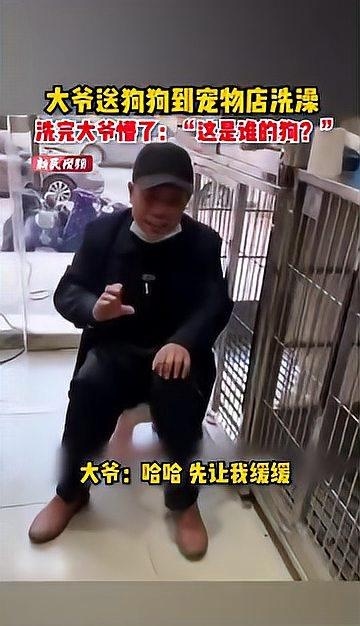 大爷送狗狗到宠物店洗澡,洗完大爷懵了:这是谁的狗?