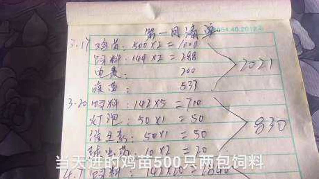 今天统计500只鸡苗一个月的花销成本,对比市场价格发现没有利润