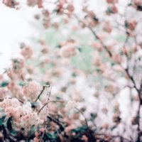 张焱森聊纪录片 