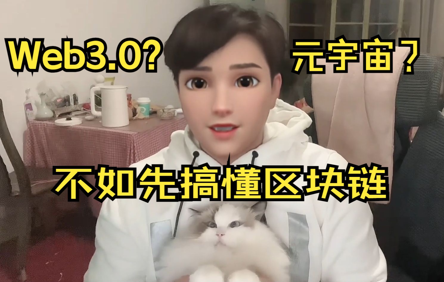 Web3? 元宇宙?还是先搞明白区块链吧 小猫咪都能搞懂的区块链教程