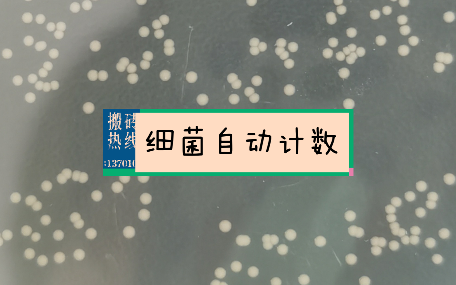 细菌自动计数,科研日常好帮手,勇敢尝试不是靠口头说说就可以了,要...