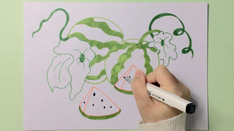 博卡简笔画:小西瓜真可爱,长在藤蔓上,啥时候能吃呢