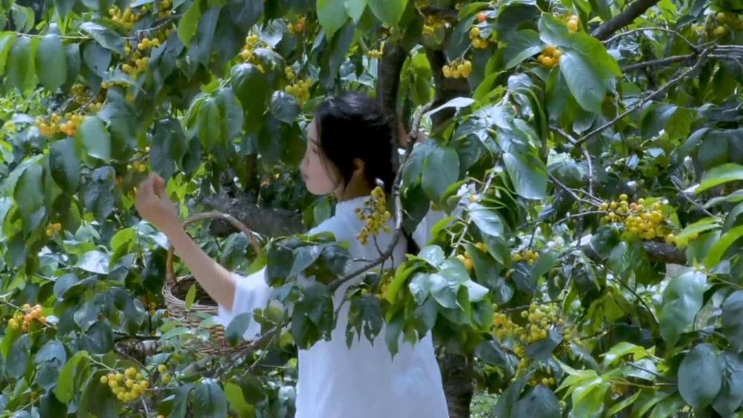 农村最常见的“牛皮菜”不仅做法简单,而且营养丰富