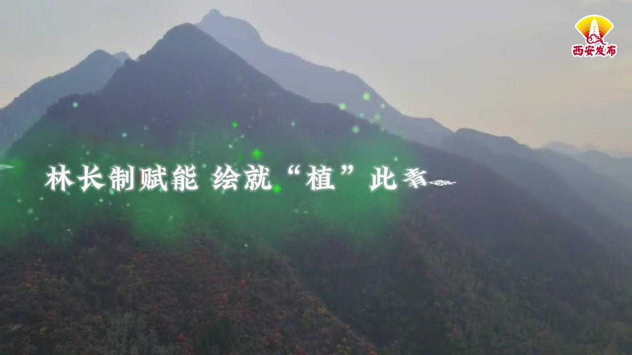 林长制赋能绘就"植"此青绿