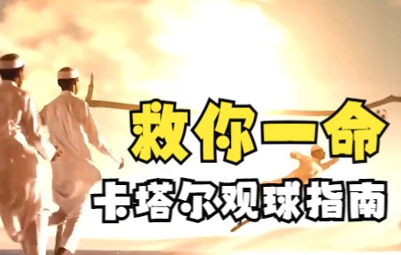 2022卡塔尔世界杯观球指南(一),看完肯定能救你一手!