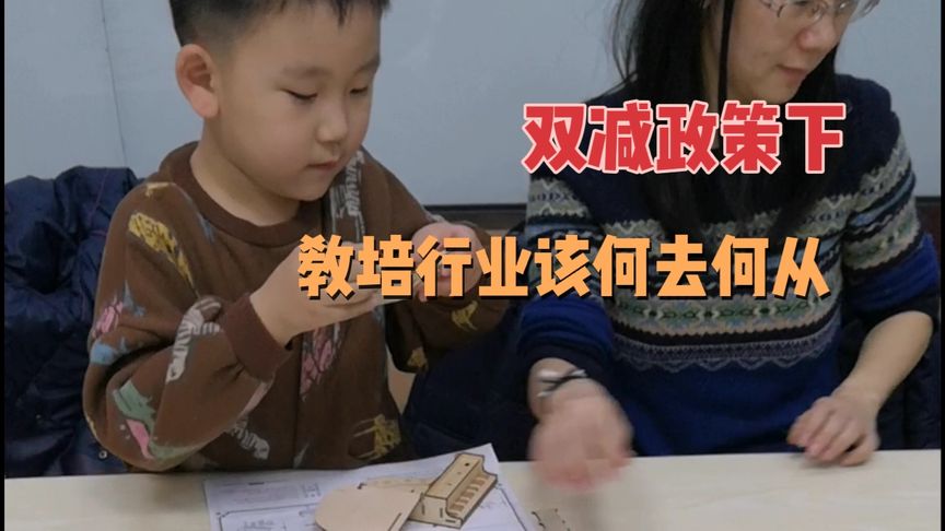双减政策下 如何让孩子真正减负 教培行业到底该何去何从