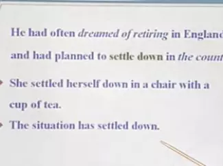 新概念英语第二册第38课