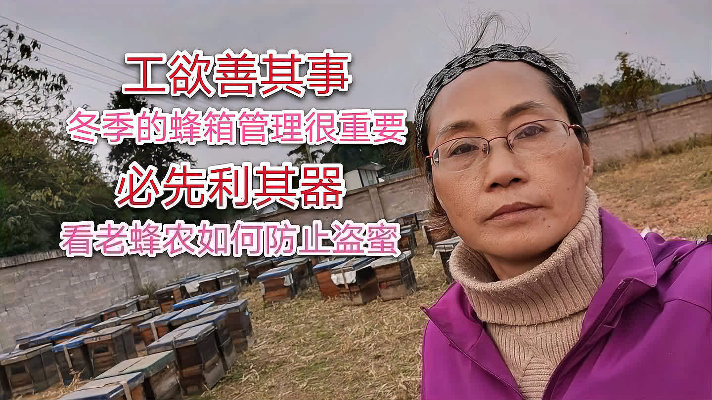 兰姨花大价钱购置活动板房,不仅是为了方便工作,更有大用途