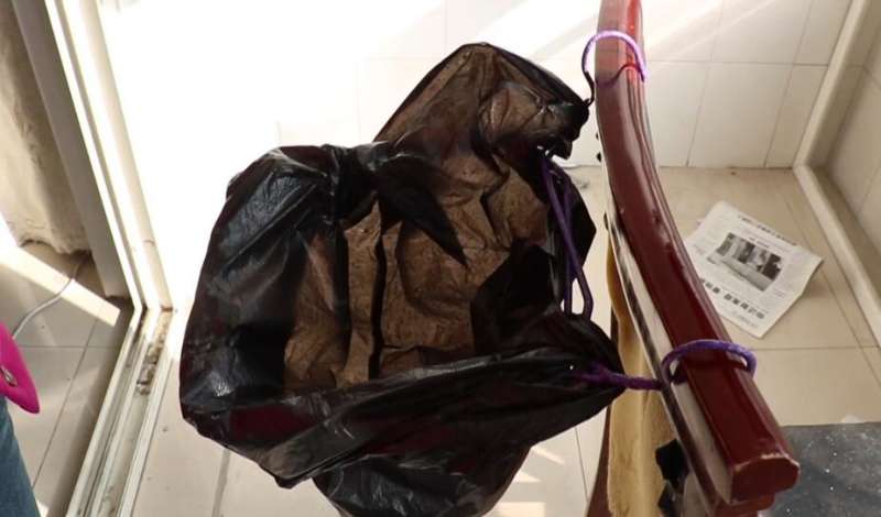 垃圾桶还用花钱买?姑娘教你自制垃圾桶!简单又实用