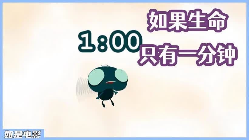 寓意动画,苍蝇只能活一分钟,却完成了很多人一辈子完成的事