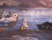 皮克斯公司短篇动画电影鹬