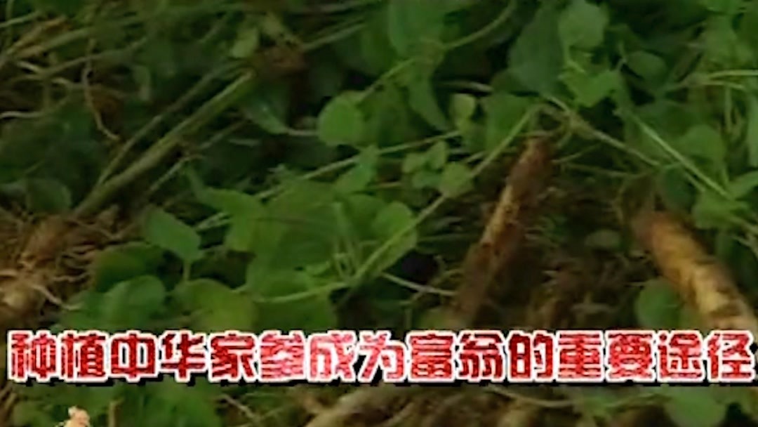 山西厅级干部退休14年后 因搞合同诈骗被判入狱三年并开除党籍