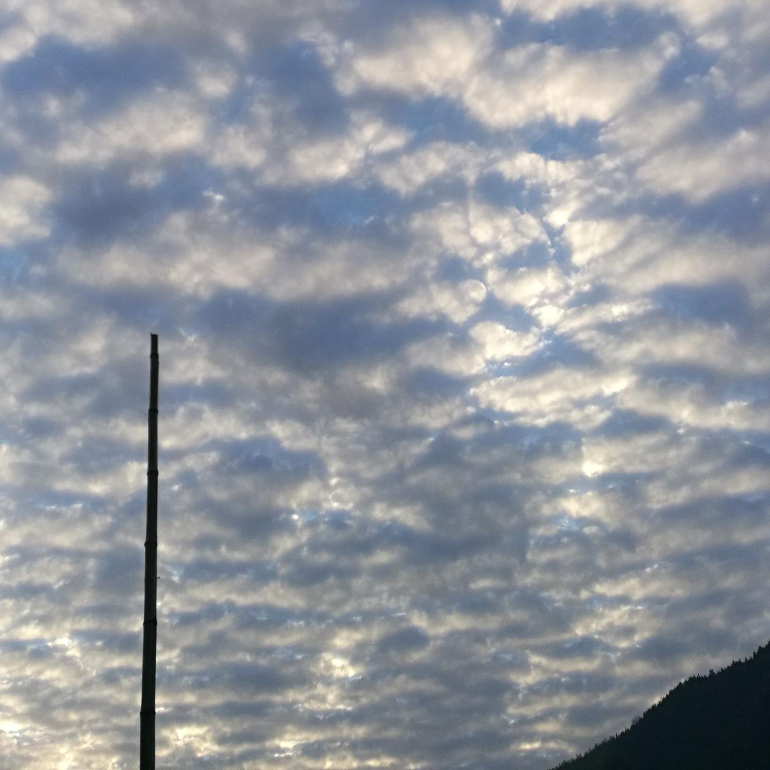 南瓜余音 