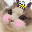 123那就起个好听的名字吧。 