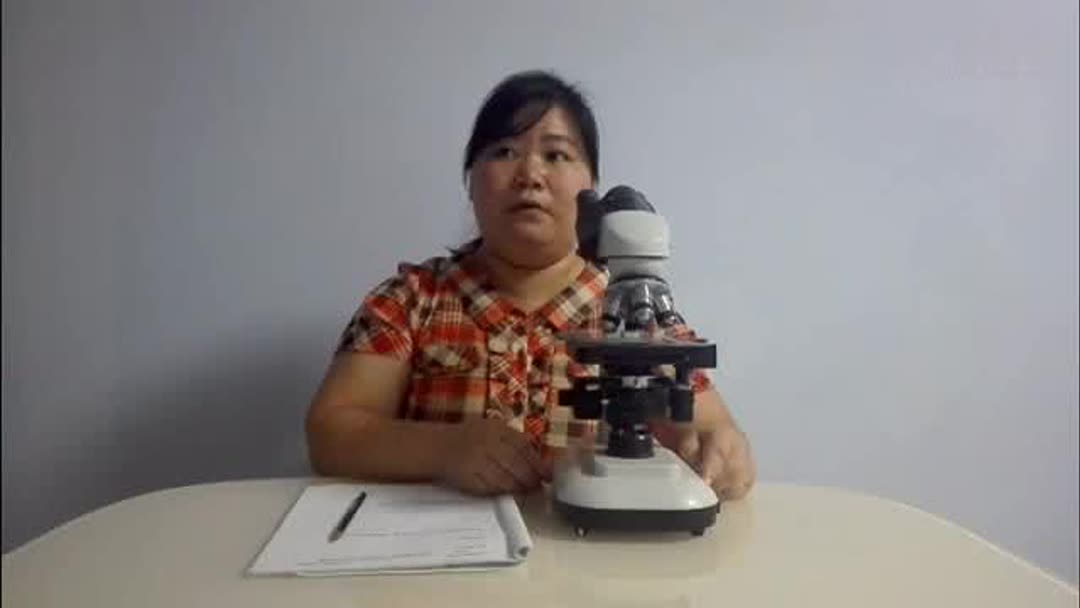 利用显微镜观察微生物