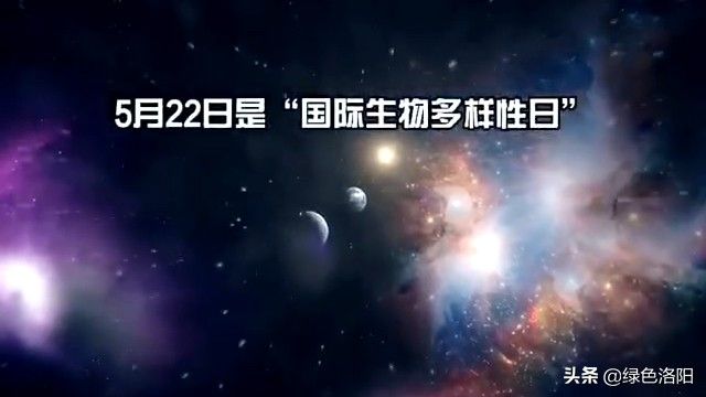 国际生物多样性日 带你领略中原大地百花竞艳,万物共生的大美!