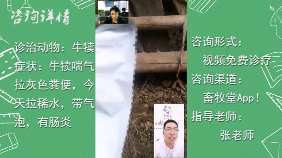 小牛咳喘,还拉稀,粪便带气泡,养殖户不知道怎么办?