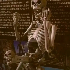 你说的对但是我不同意 