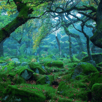 大鱼用户1541993767024162 