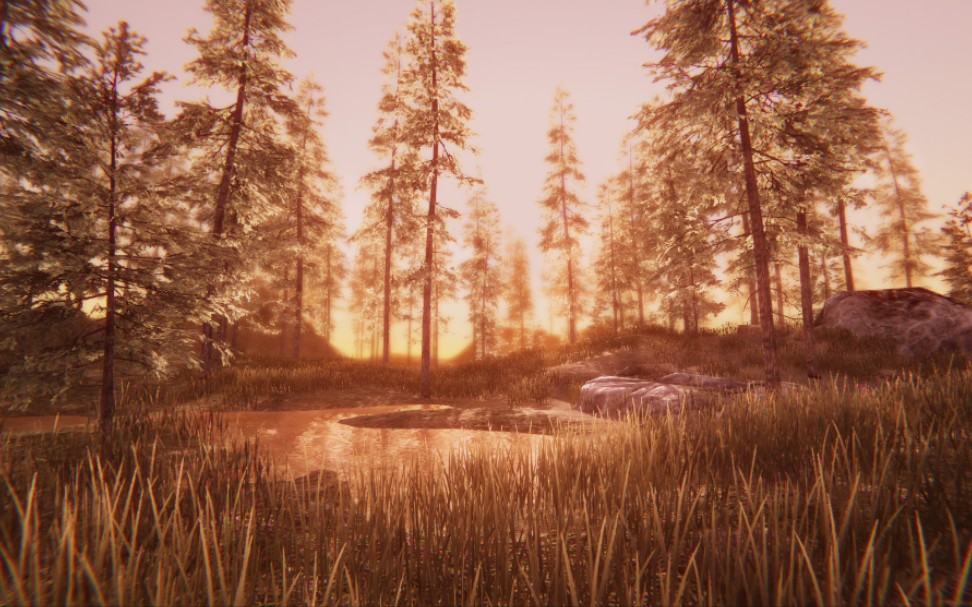 unity3D游戏场景设计分享—针叶林