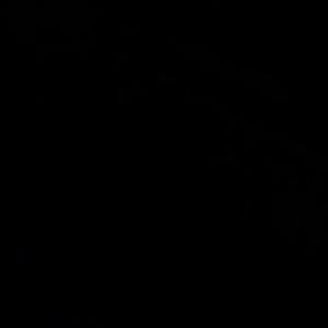 青岛马家祥泰汽车服务 